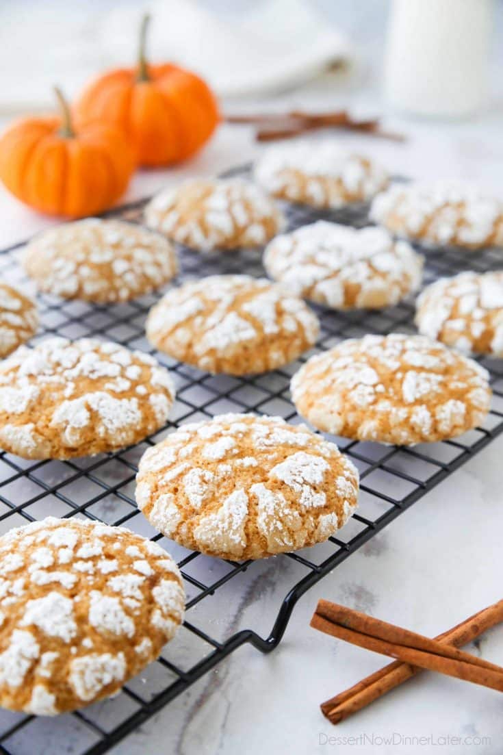 Pumpkin Crinkle Cookies + Video | Dessert Now Dinner Later