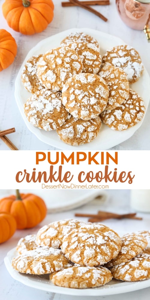 Pumpkin Crinkle Cookies + Video | Dessert Now Dinner Later