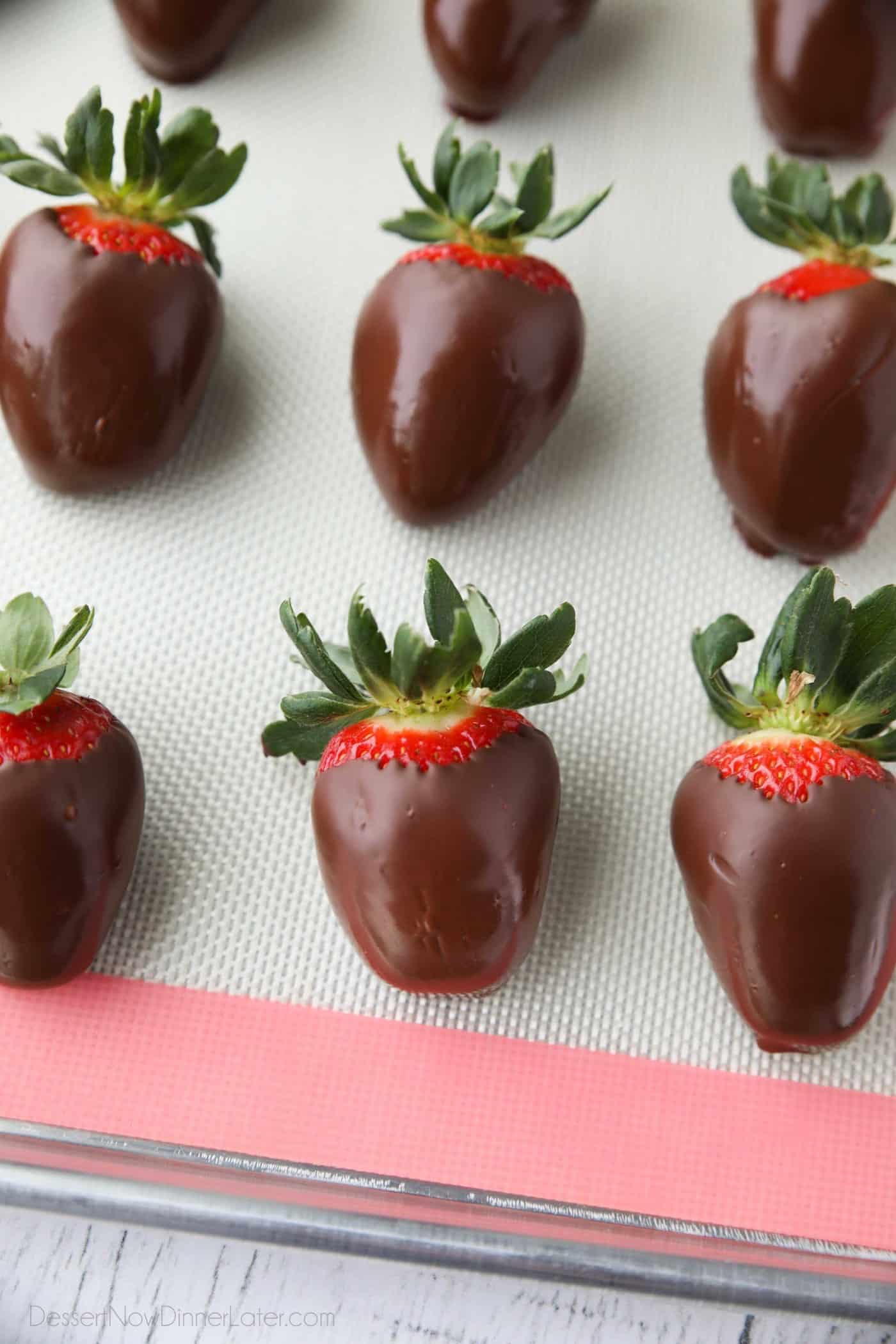 Chocolate Covered Strawberries | Dessert Now Dinner Later